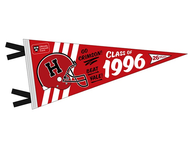 Class of 1996 Delayed 25th Reunion Celebration | Harvard Alumni