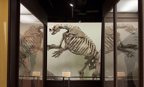 Exploring Science Together: The Ice Age! | Harvard Alumni