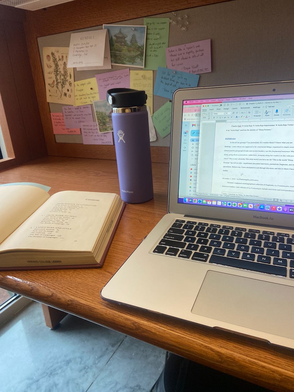 Thesis Thoughts | Harvard Alumni