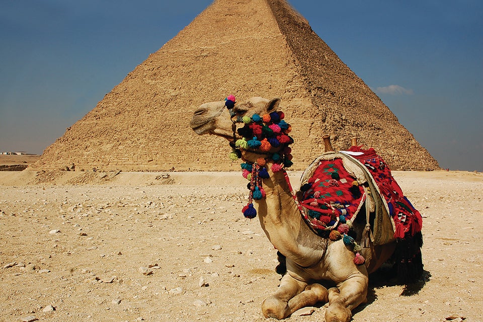 Egypt & the Nile | Harvard Alumni